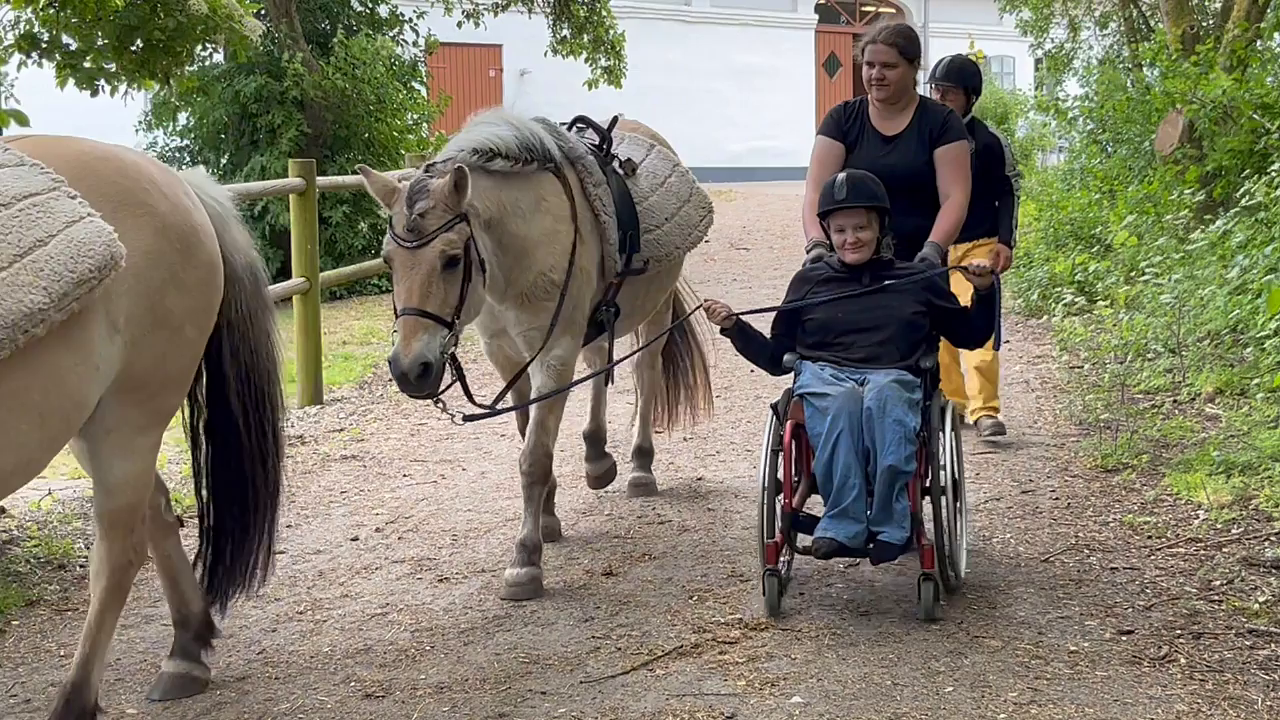 Hestehold og Ridning - Egmont Højskolen
